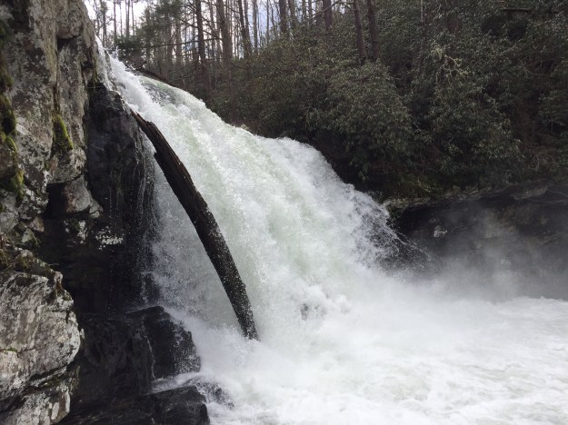 Abrams Falls Loop Hike | Hiking the Great Smoky Mountain National Park