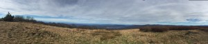 Gregory Bald Trail | Hiking the Great Smoky Mountain National Park